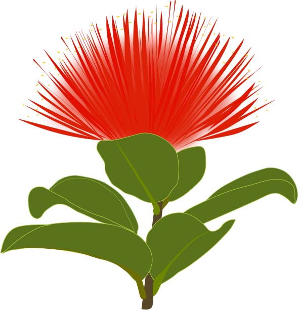 SHOW YOUR ‘ŌHI‘A LOVE! - Oahu Invasive Species Committee (OISC)